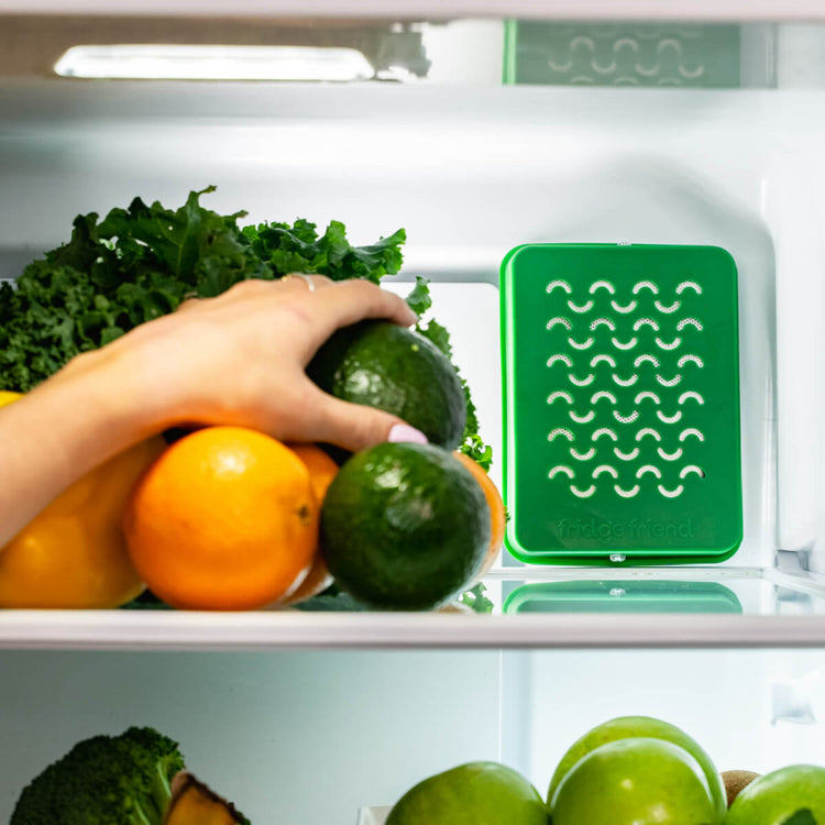 How does Fridge Friend work?