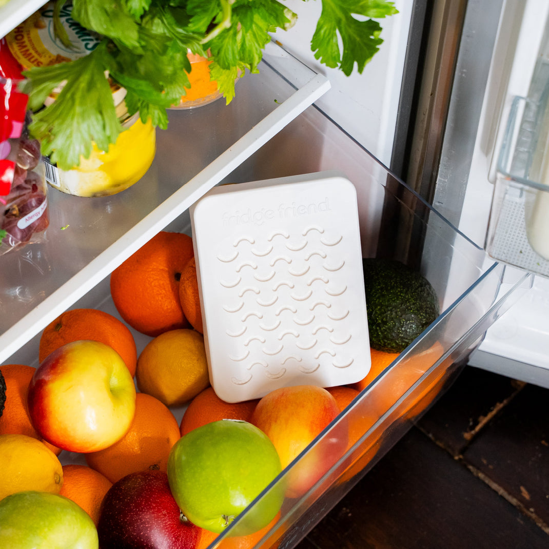 Fridge Friend | Refrigerator Ethylene Filter, Reduce Waste, Save Money