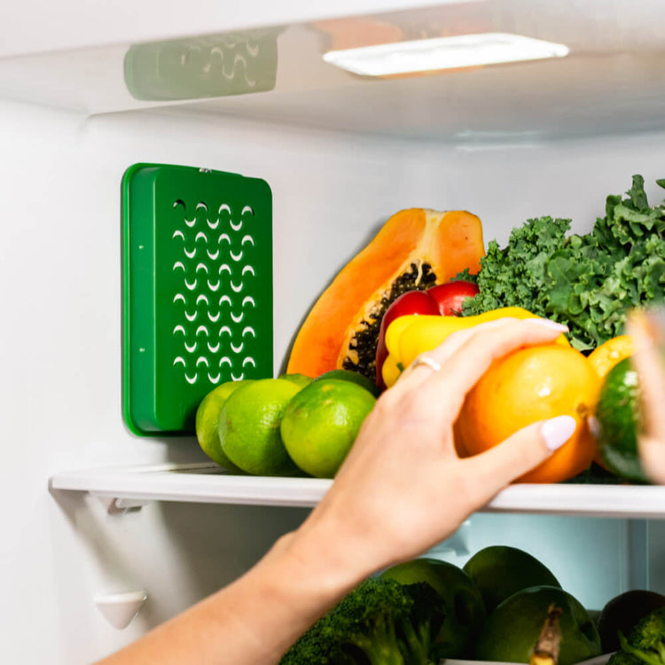 Fridge Friend | Refrigerator Ethylene Filter, Reduce Waste, Save Money
