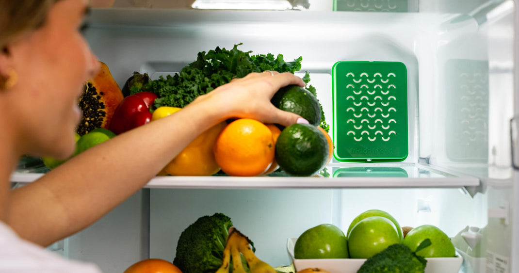 The Fridge Friend® Story