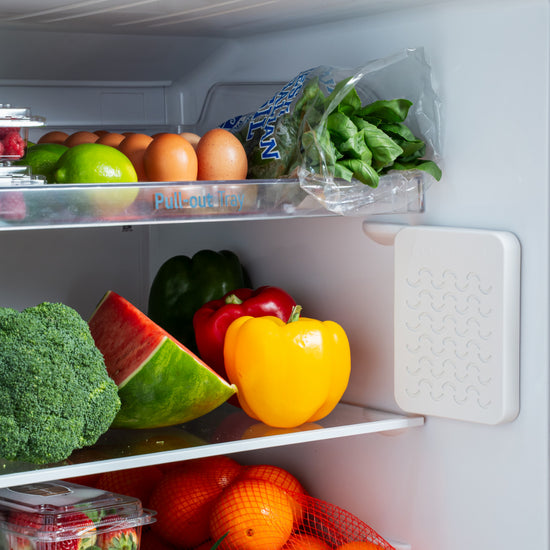 Fridge Friend