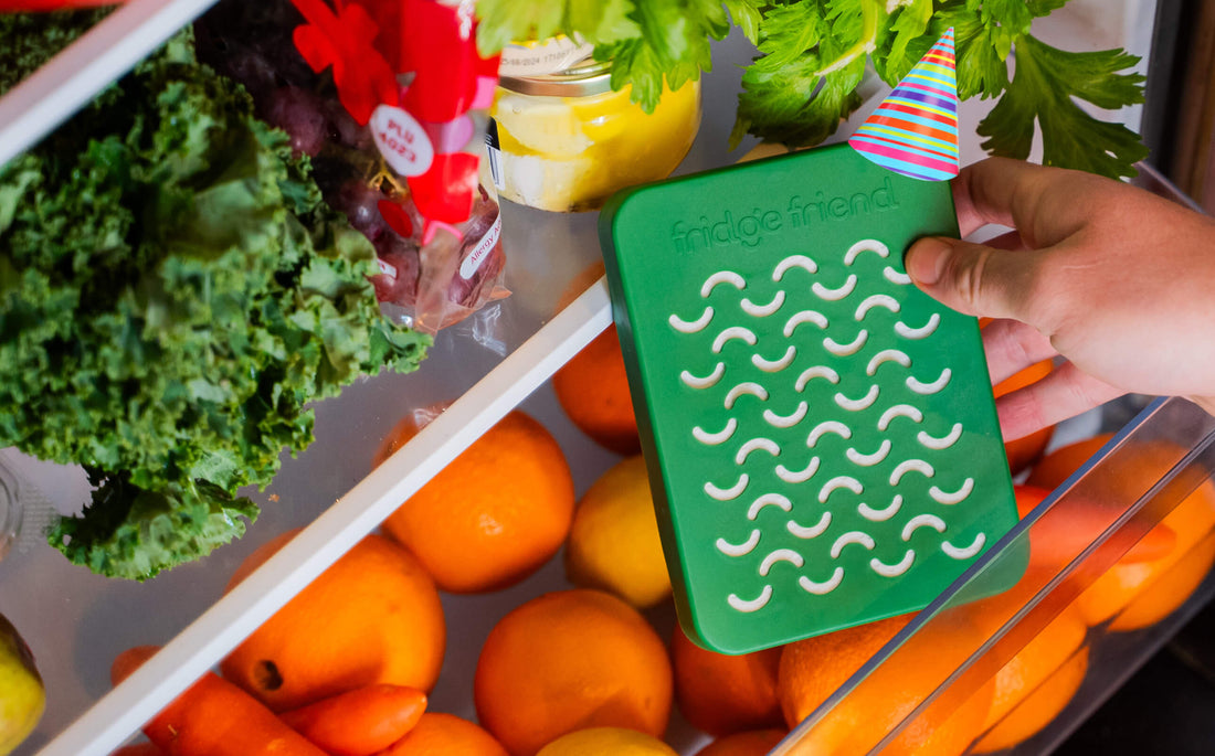Fridge Friend | Refrigerator Ethylene Filter, Reduce Waste, Save Money