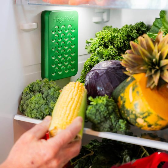 Fridge Friend® - Green