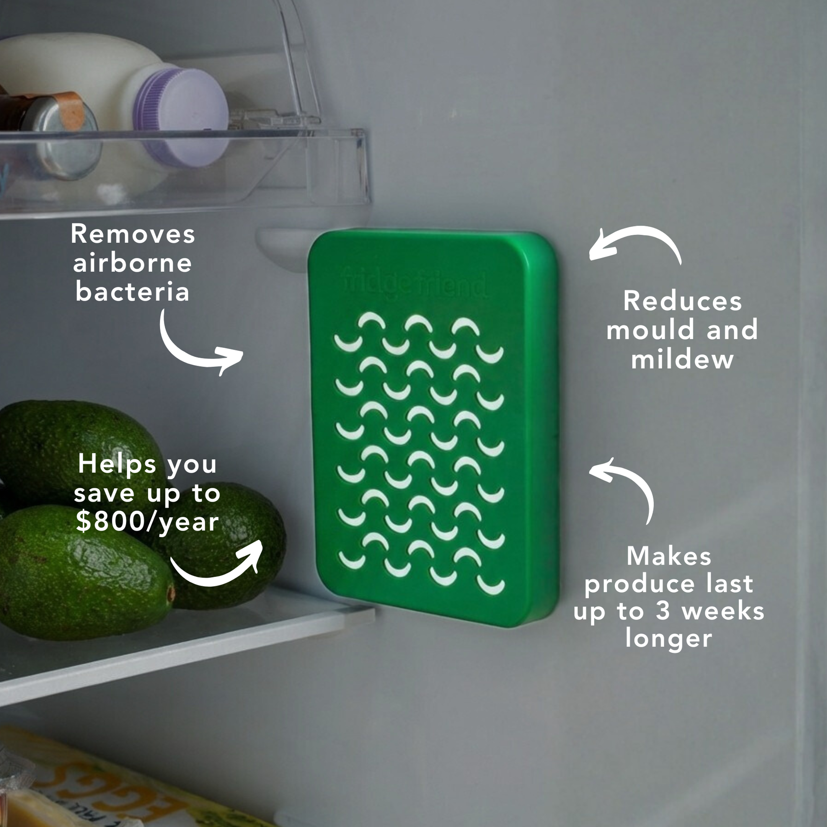 Fridge Friend