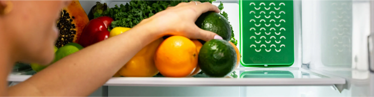 Setup, Care and Maintenance Guide. – Fridge Friend